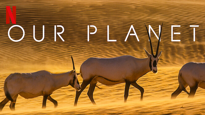 Our Planet (2019) - Netflix | Flixable
